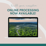 7 Ideas for Announcing Your New/Redesigned Website in 2022