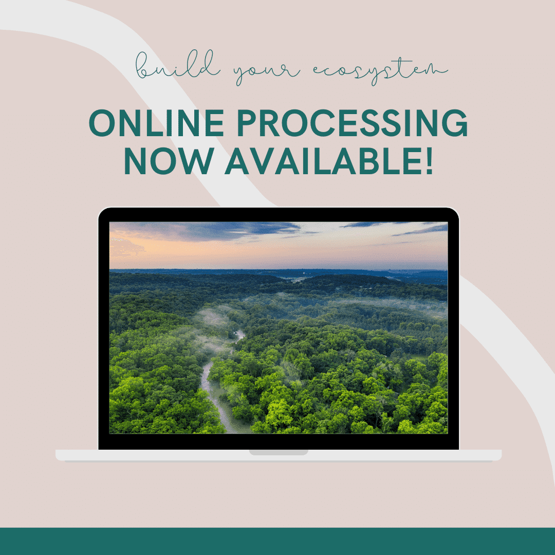 7 Ideas for Announcing Your New/Redesigned Website in 2022